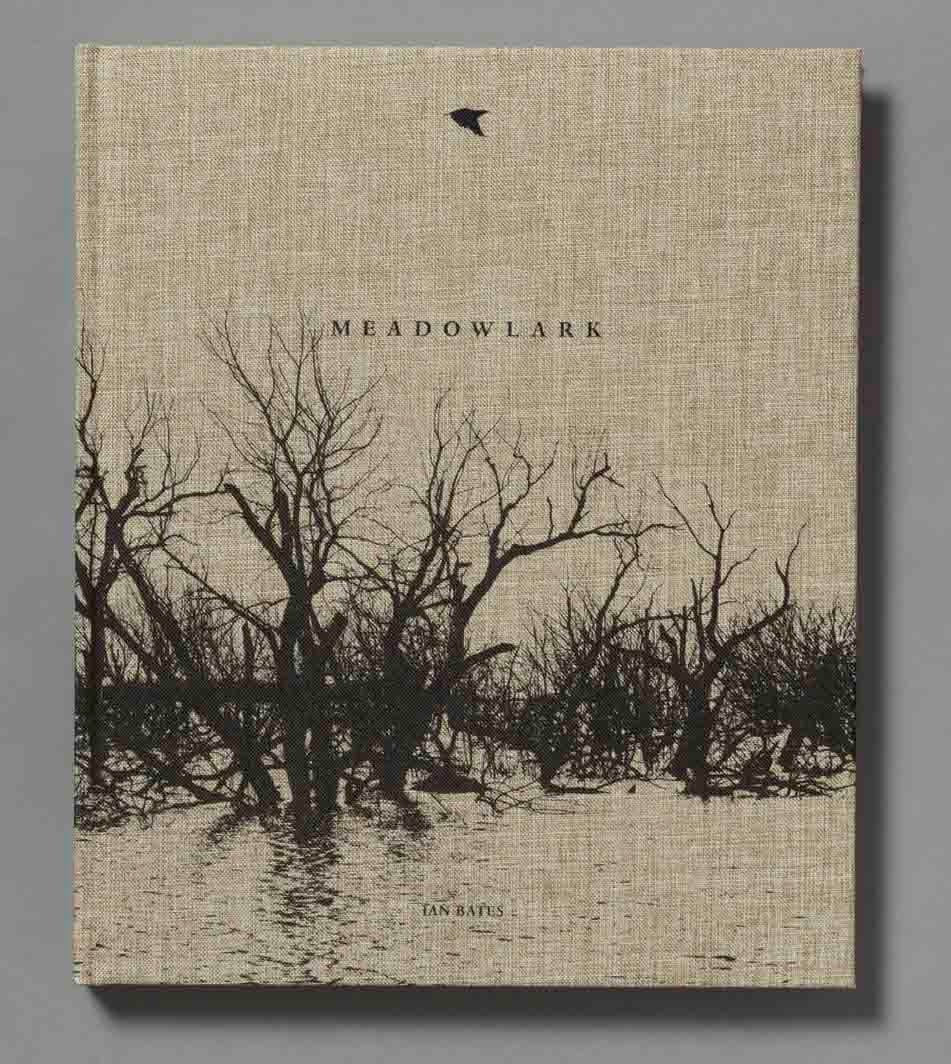 Meadowlark by Ian Bates at the Tipi bookshop
